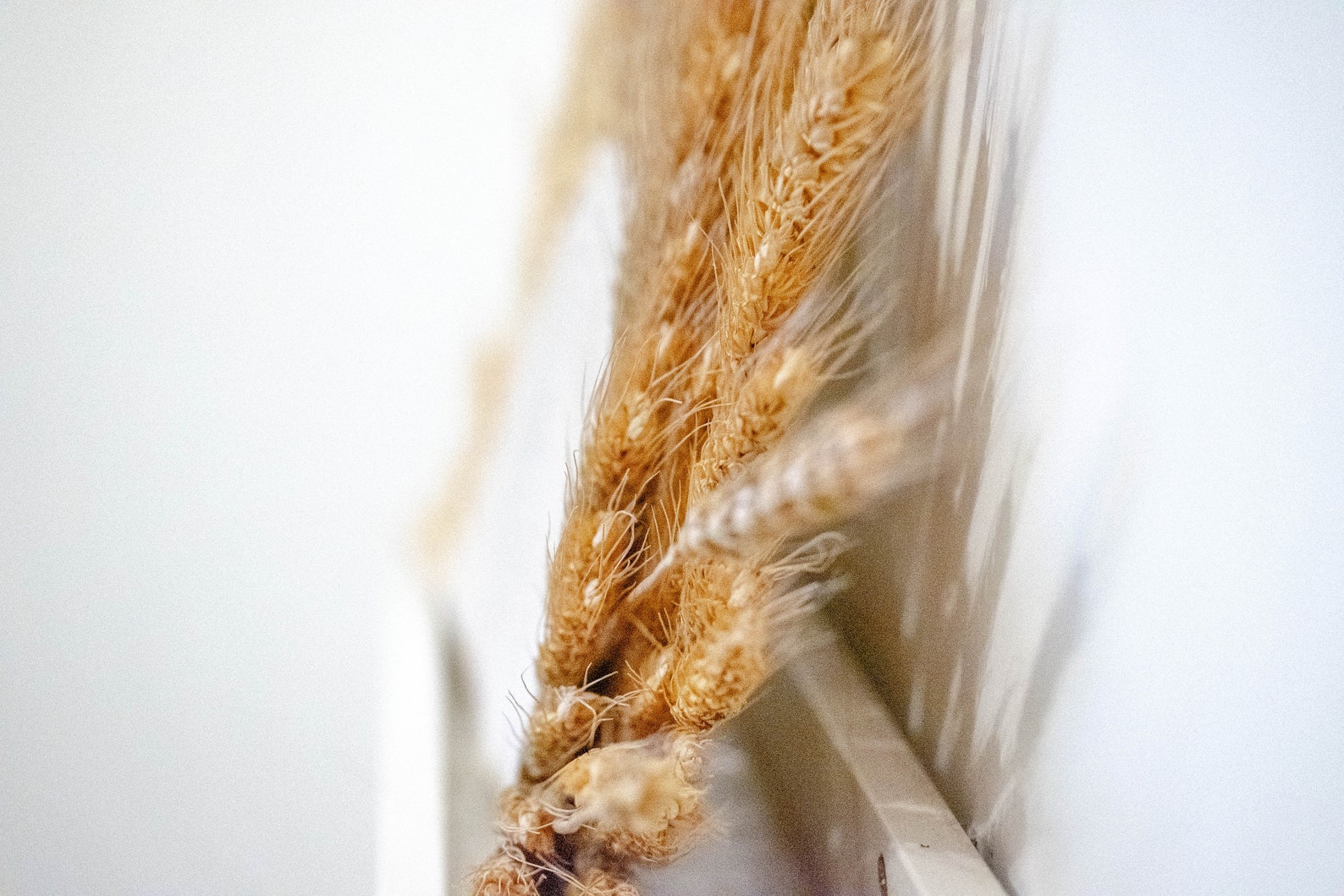 Boho floral fan / Dried flower woven fan / oriental fan / | Etsy