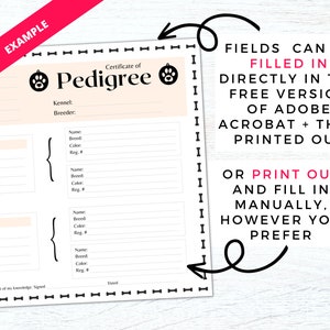 Puppy Pedigree Chart, Dog Pedigree Template Certificate, Dog Breeder ...