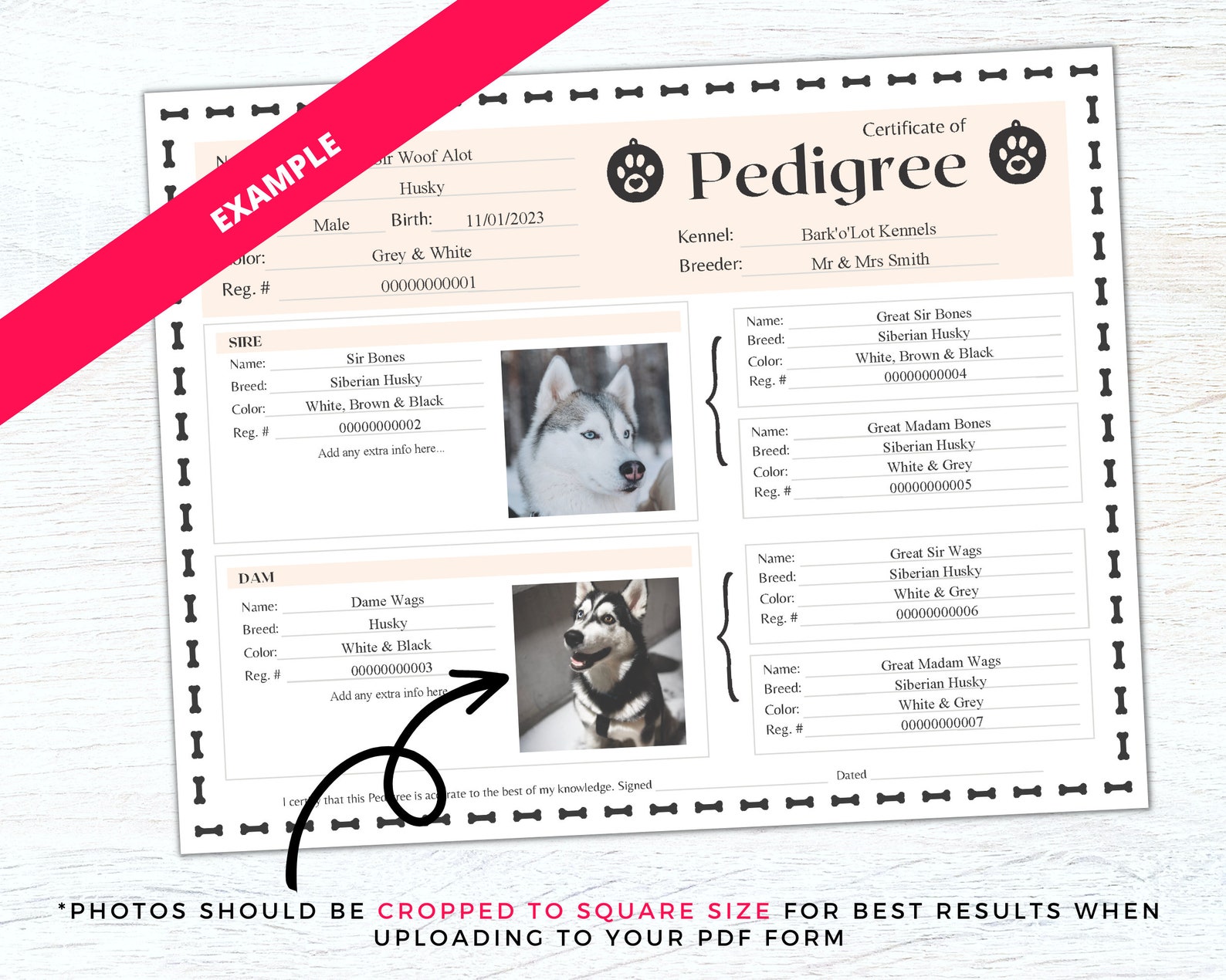 Puppy Pedigree Chart, Dog Pedigree Template Certificate, Dog Breeder ...