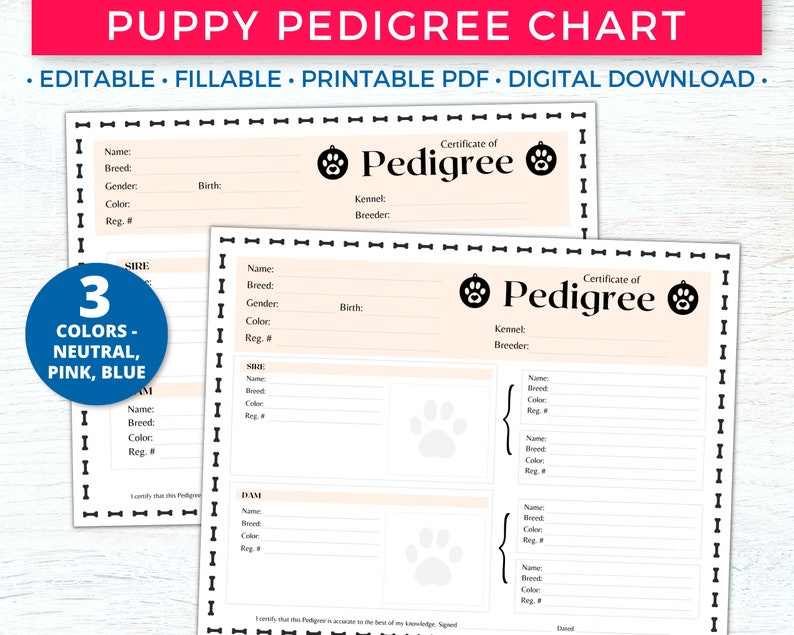Puppy Pedigree Chart Dog Pedigree Template Certificate Dog - Etsy