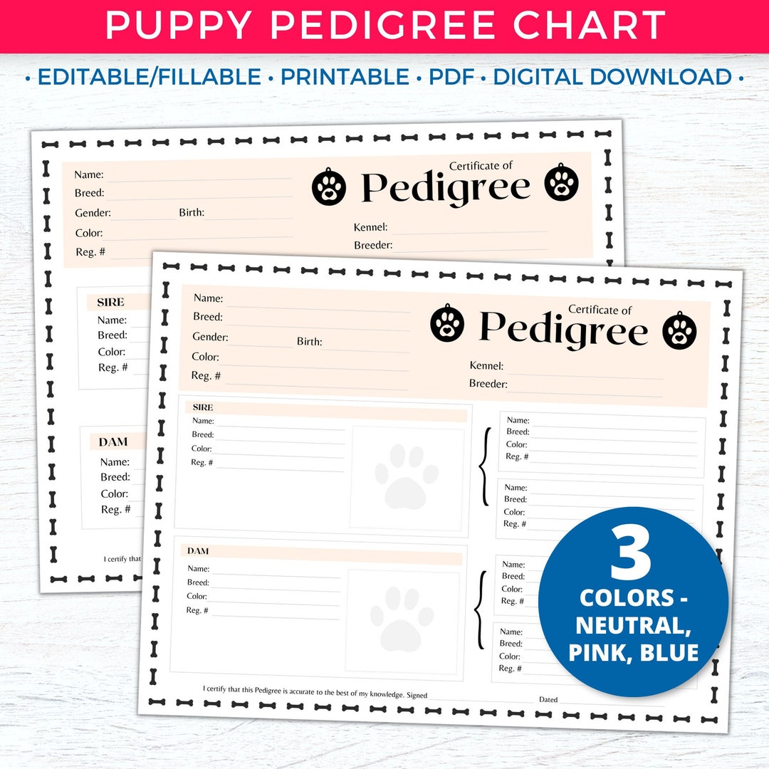 Puppy Pedigree Chart, Dog Pedigree Template Certificate, Dog Breeder ...