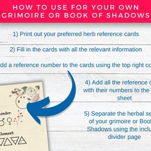Witch Herbs Book of Shadows Grimoire Pages | Printable & Digital ...