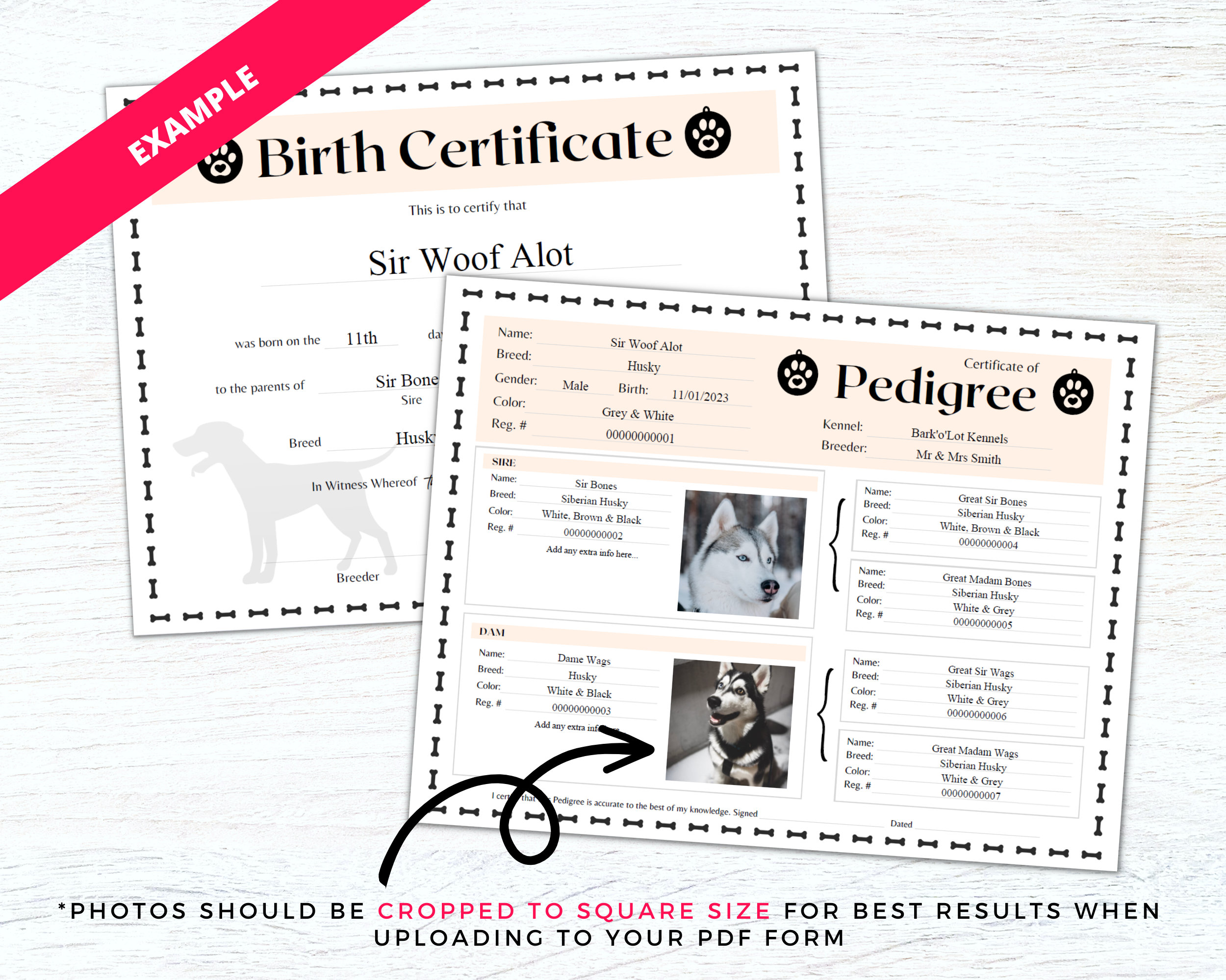 Breeder Puppy Pack Printable + Fillable PDF, Dog Breeder Records, Dog ...