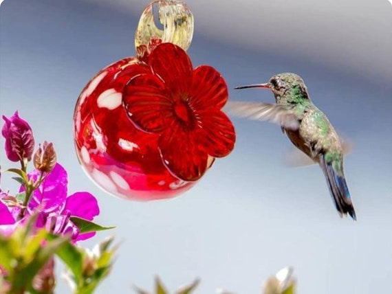 Bebedero Para Colibrí. Hummingbird Feeder. Vidrio Soplado - Etsy