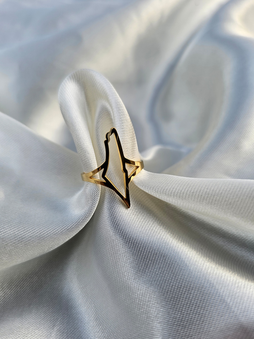 Palestine Map Ring | Falasteen | Adjustable Map Ring | Silver | Gold ...