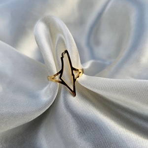 Palestine Map Ring | Falasteen | Adjustable Map Ring | Silver | Gold ...
