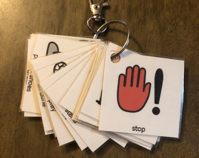 PECS Basic School Communication Cards Keyring - Etsy