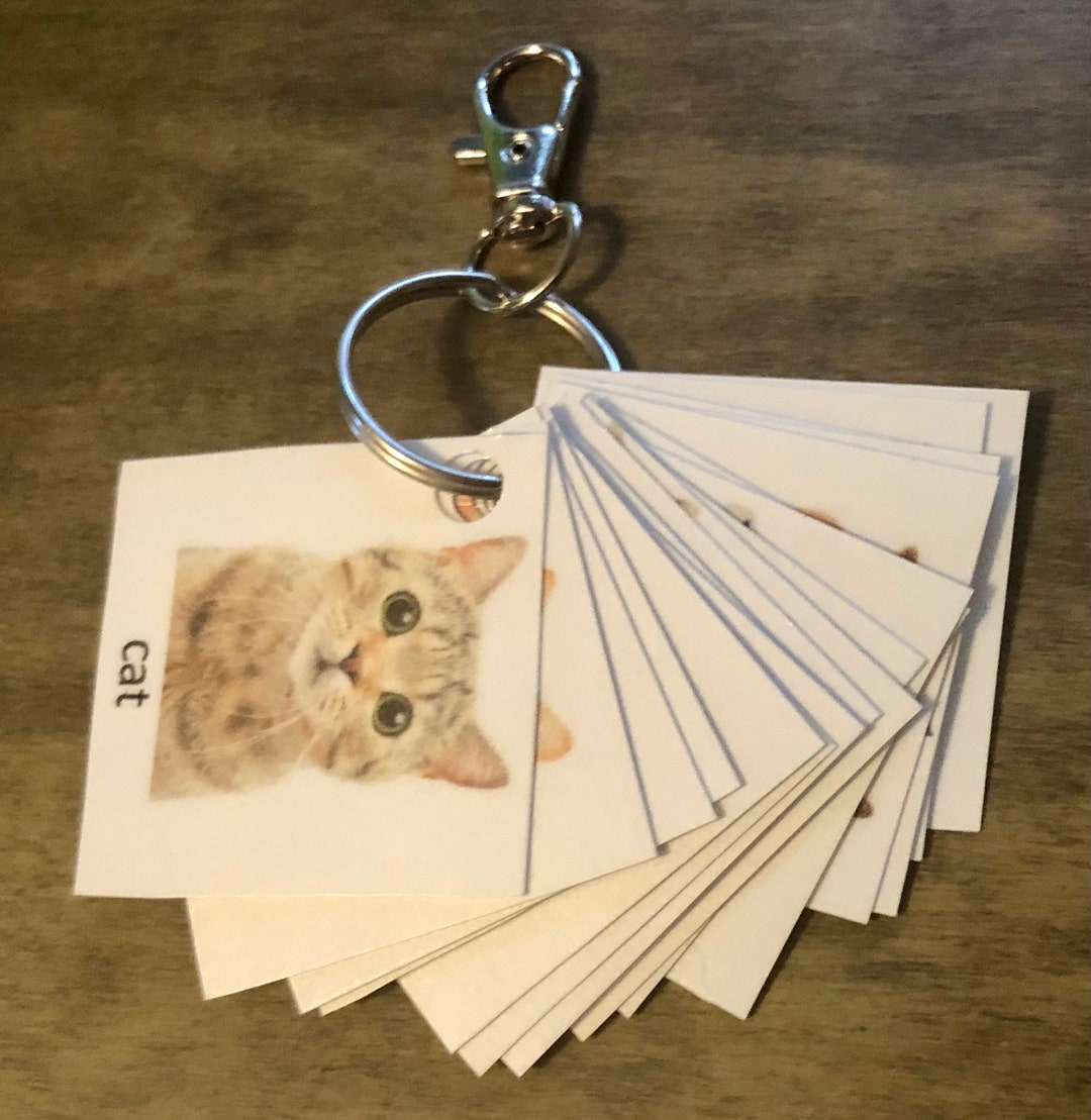 PECS Animals Keyring - Etsy