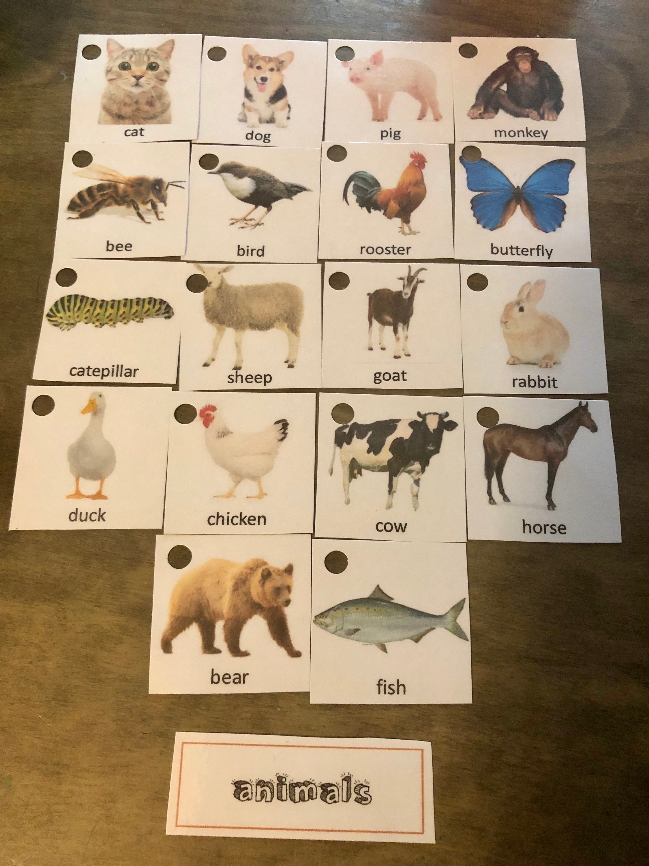 PECS Animals Keyring - Etsy