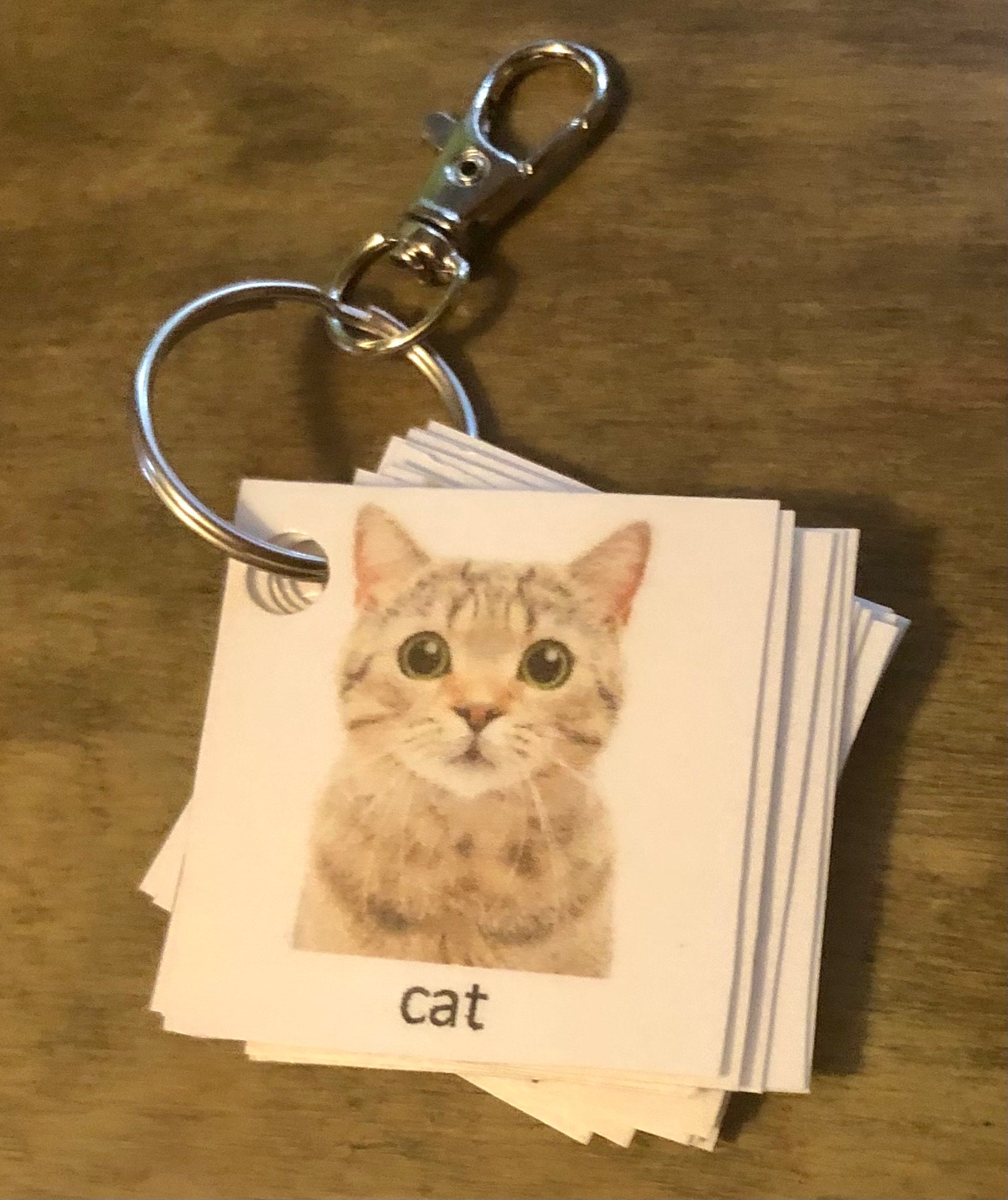 PECS Animals Keyring - Etsy