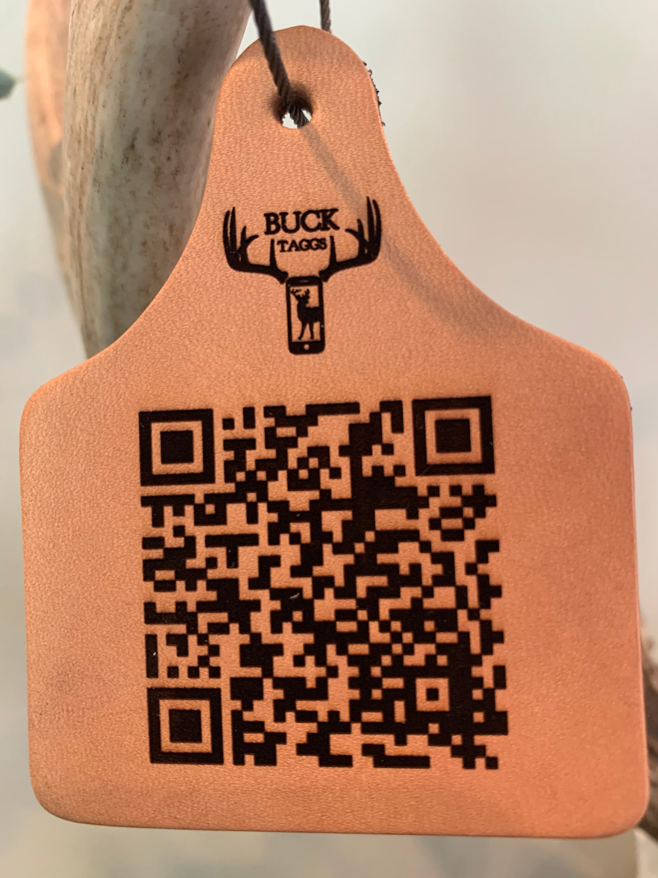Buck Tags (buck Taggs) Deer Mount Accessory - Etsy