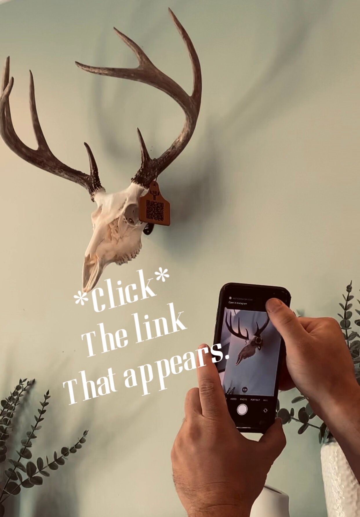 Buck Tags (buck Taggs) Deer Mount Accessory - Etsy