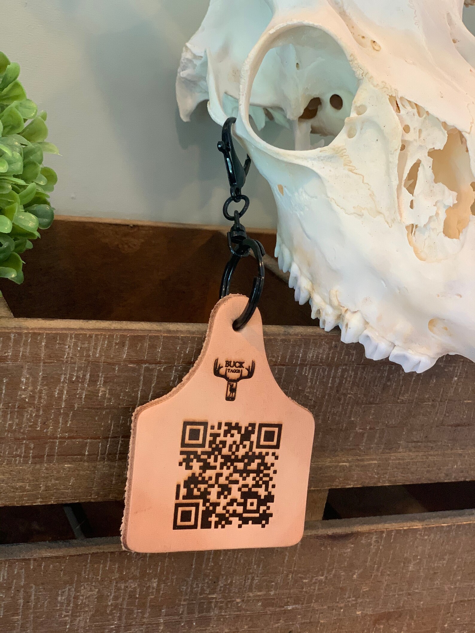 Buck Tags (buck Taggs) Deer Mount Accessory - Etsy
