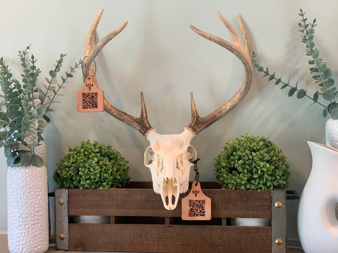 Buck Tags (buck Taggs) Deer Mount Accessory - Etsy