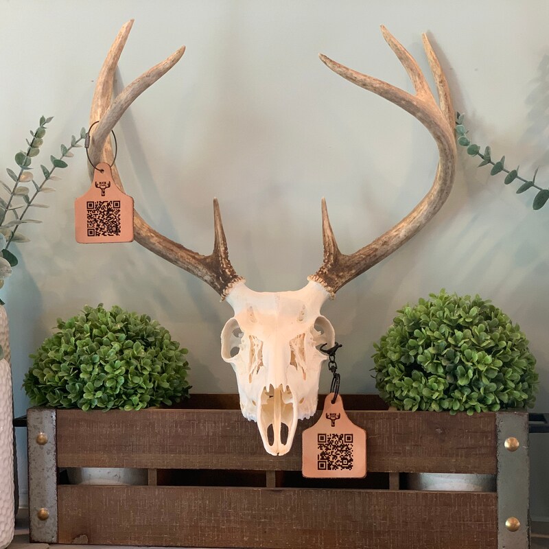 Deer Wall Mount - Etsy