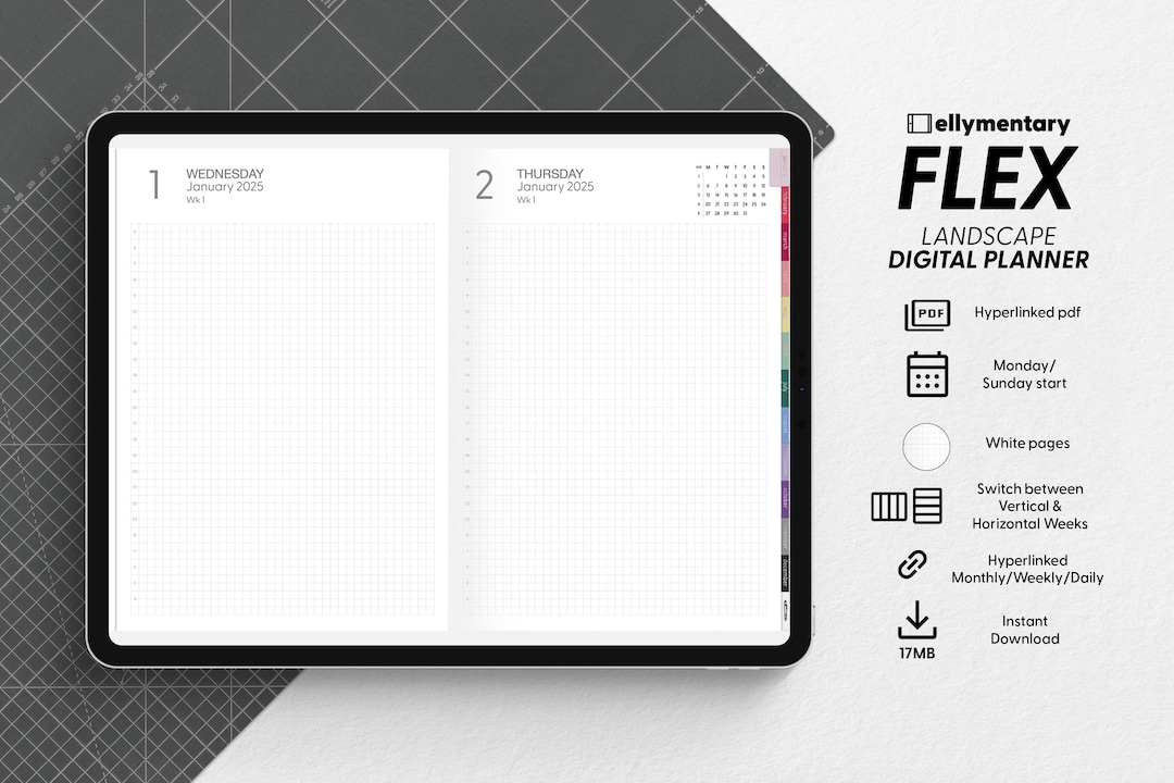 2025 ELLYMENTARY FLEX Jan-dec Digital Pdf Planner, Rainbow Tabs ...