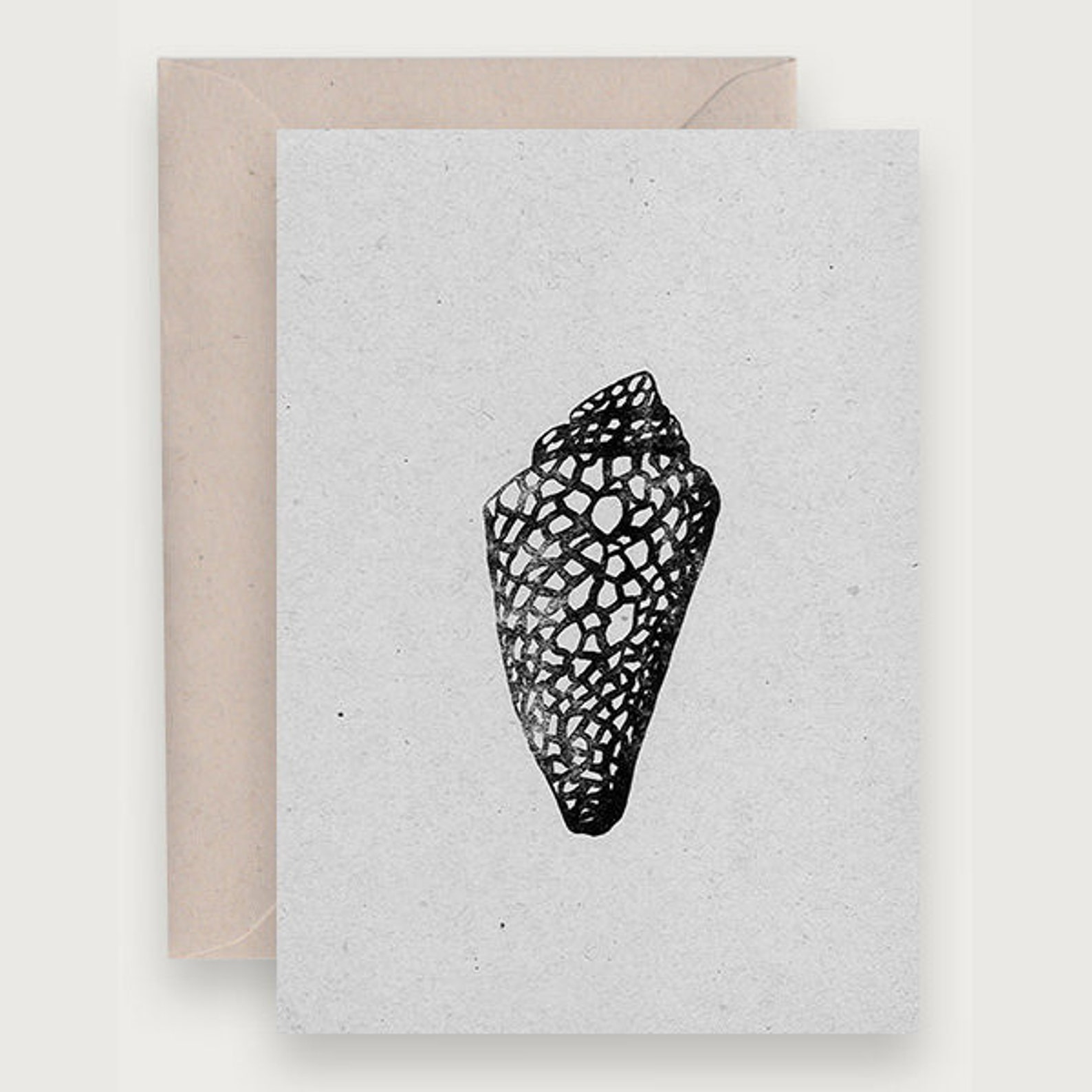 Seashell Card | Carte Coquillage | Natural Botanical Specimen | Hot ...