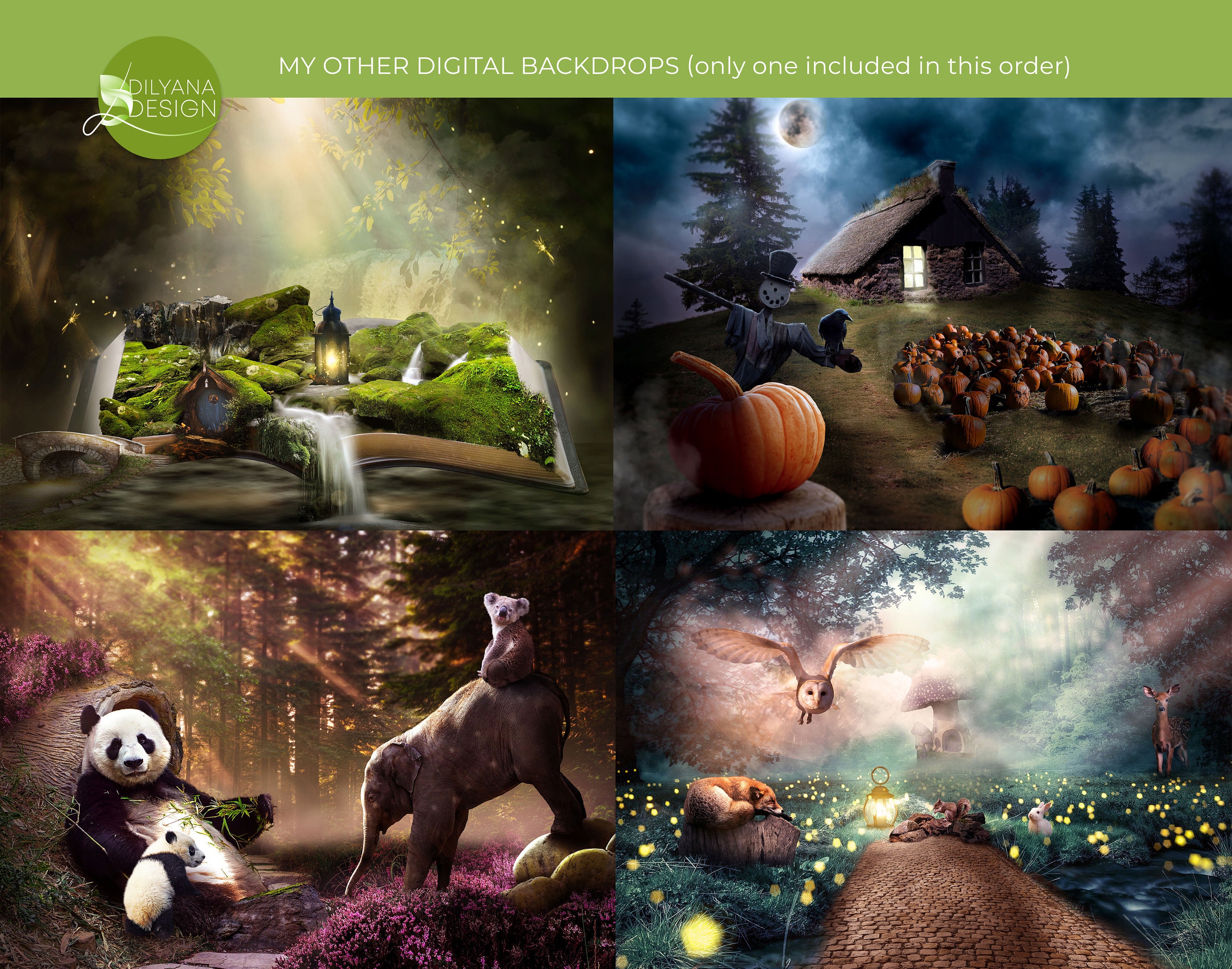 A Book in a Magical Forest Digital Background; Magical Book Background ...