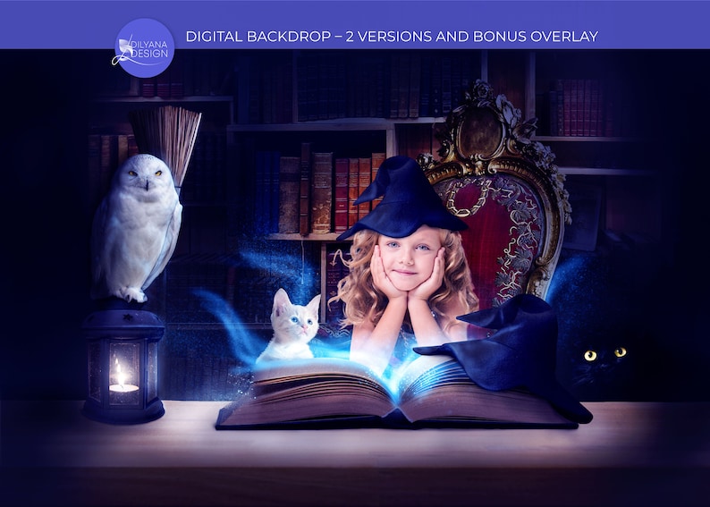 Witch or Wizard Magic Digital Background; Halloween Library Backdrop ...
