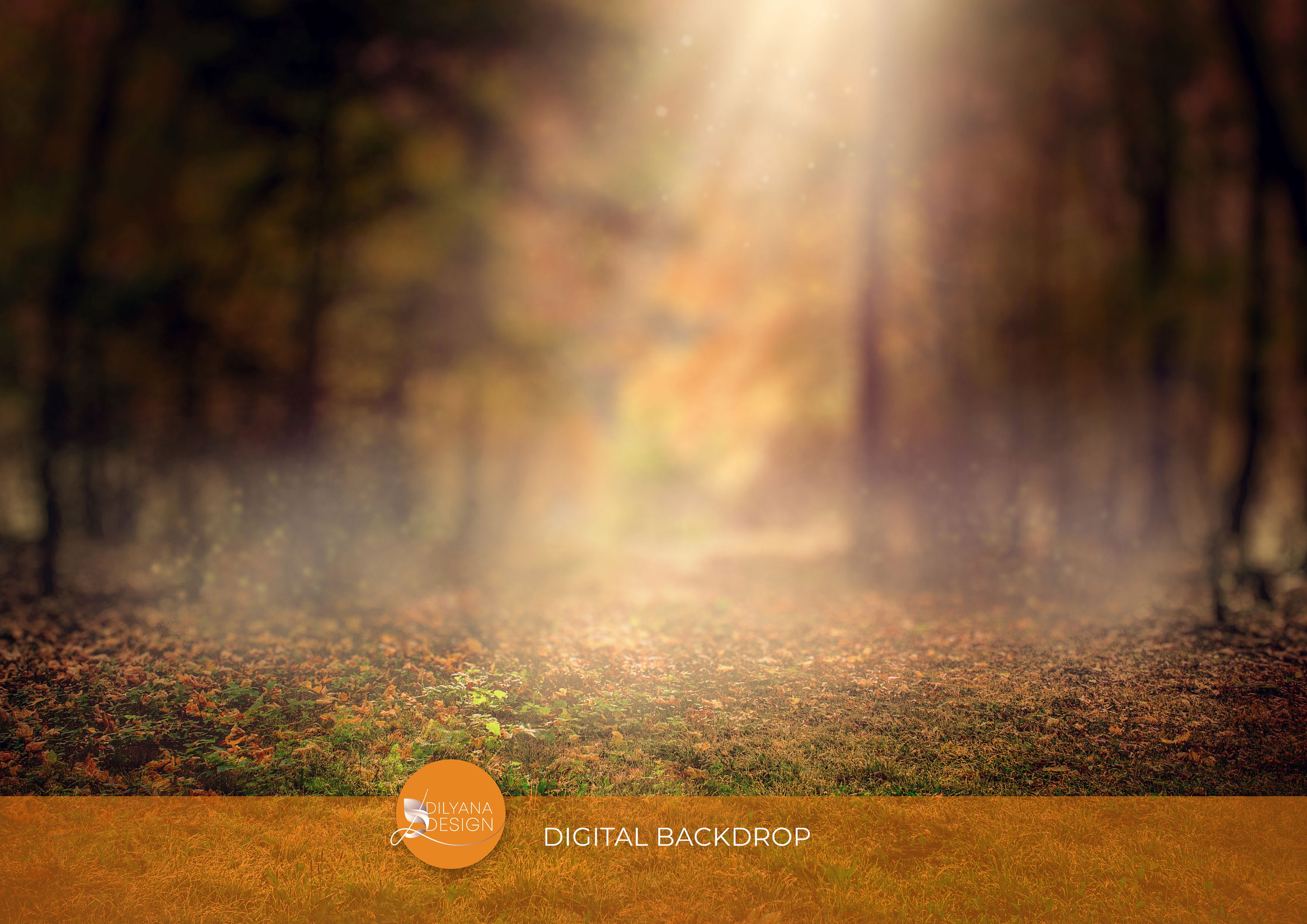 Blurry Landscape Backdrops