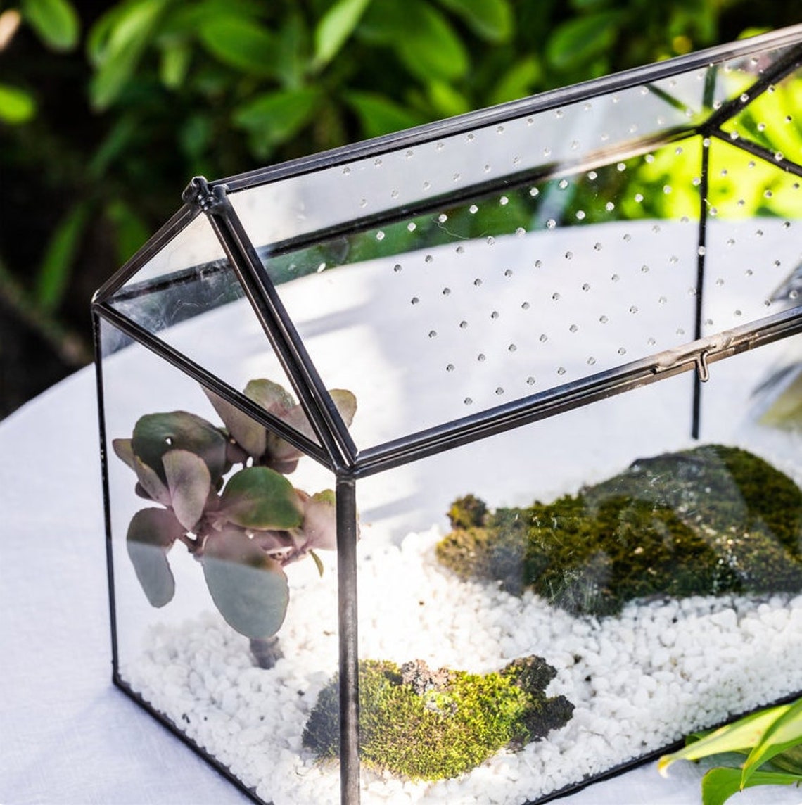 Large Handmade Geometric Glass Close Terrarium Box House | Etsy