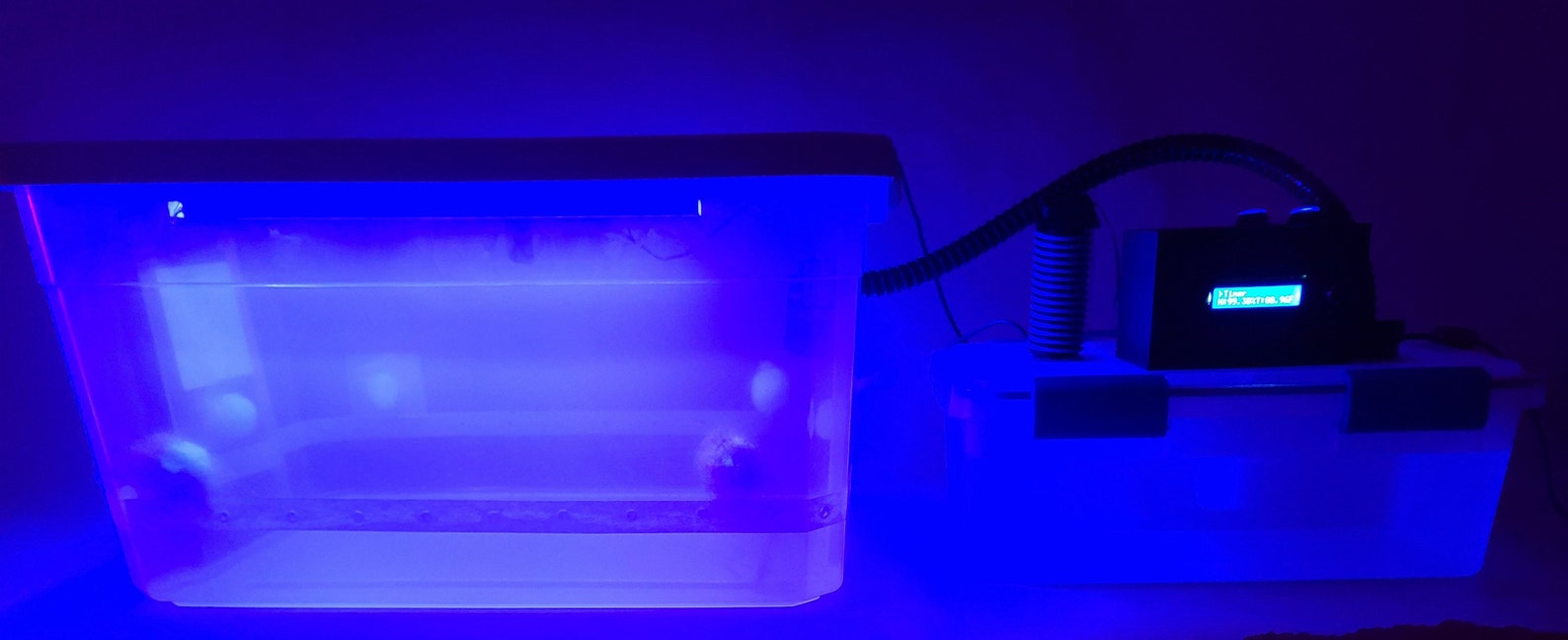 Fully Automated Mushroom Fruiting Chamber - Etsy