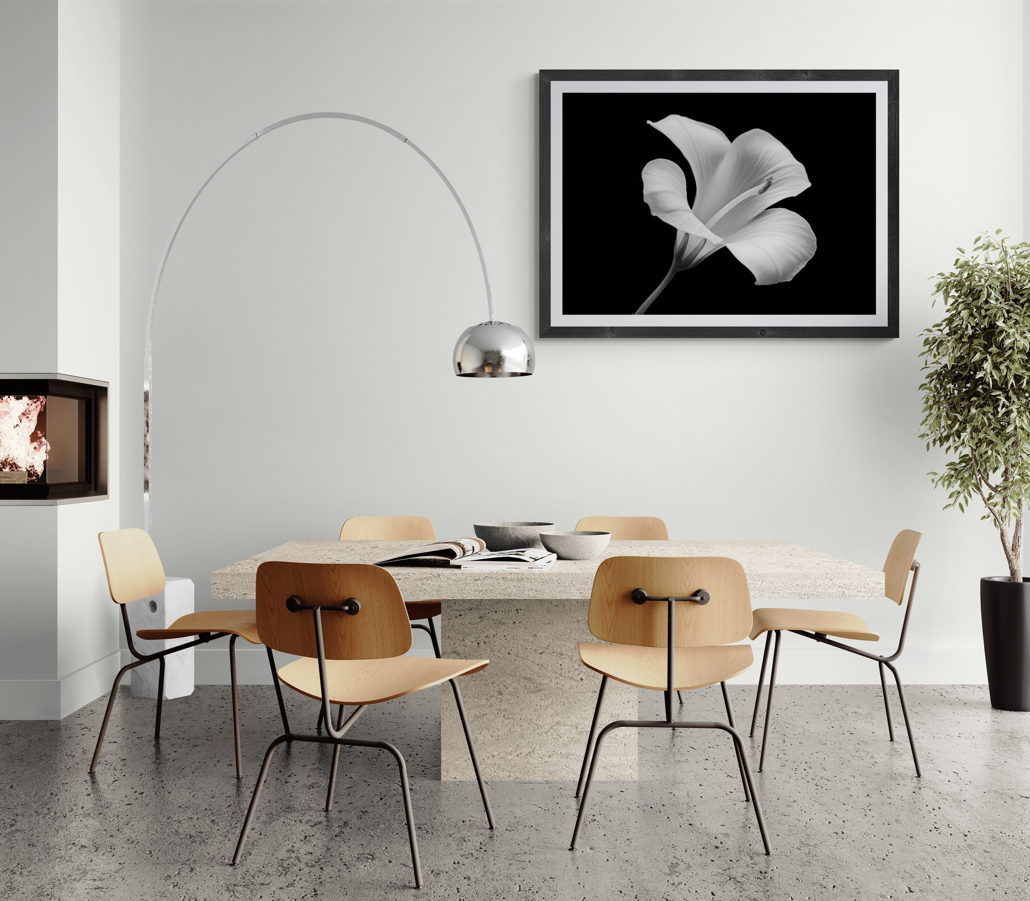 Fine Art Black and White Flower Photography for Garden Lovers, 10"x8 ...