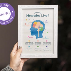 Where Do Memories Live, Printable Poster, Cognitive Neuroscience ...