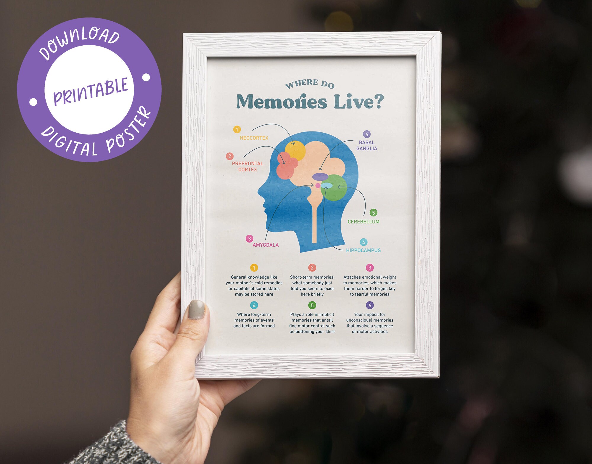Where Do Memories Live, Printable Poster, Cognitive Neuroscience ...