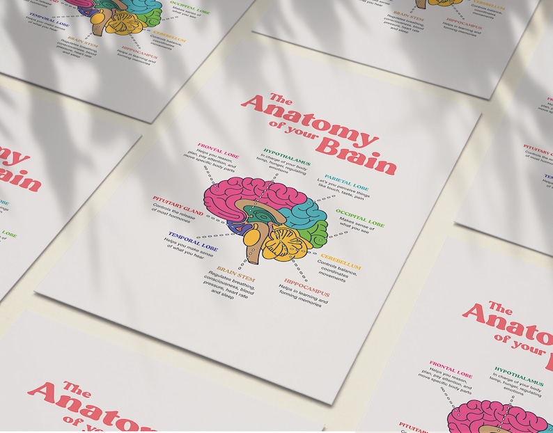 Brain Anatomy Poster, Printable Art, Therapy Office Decor, Mental ...