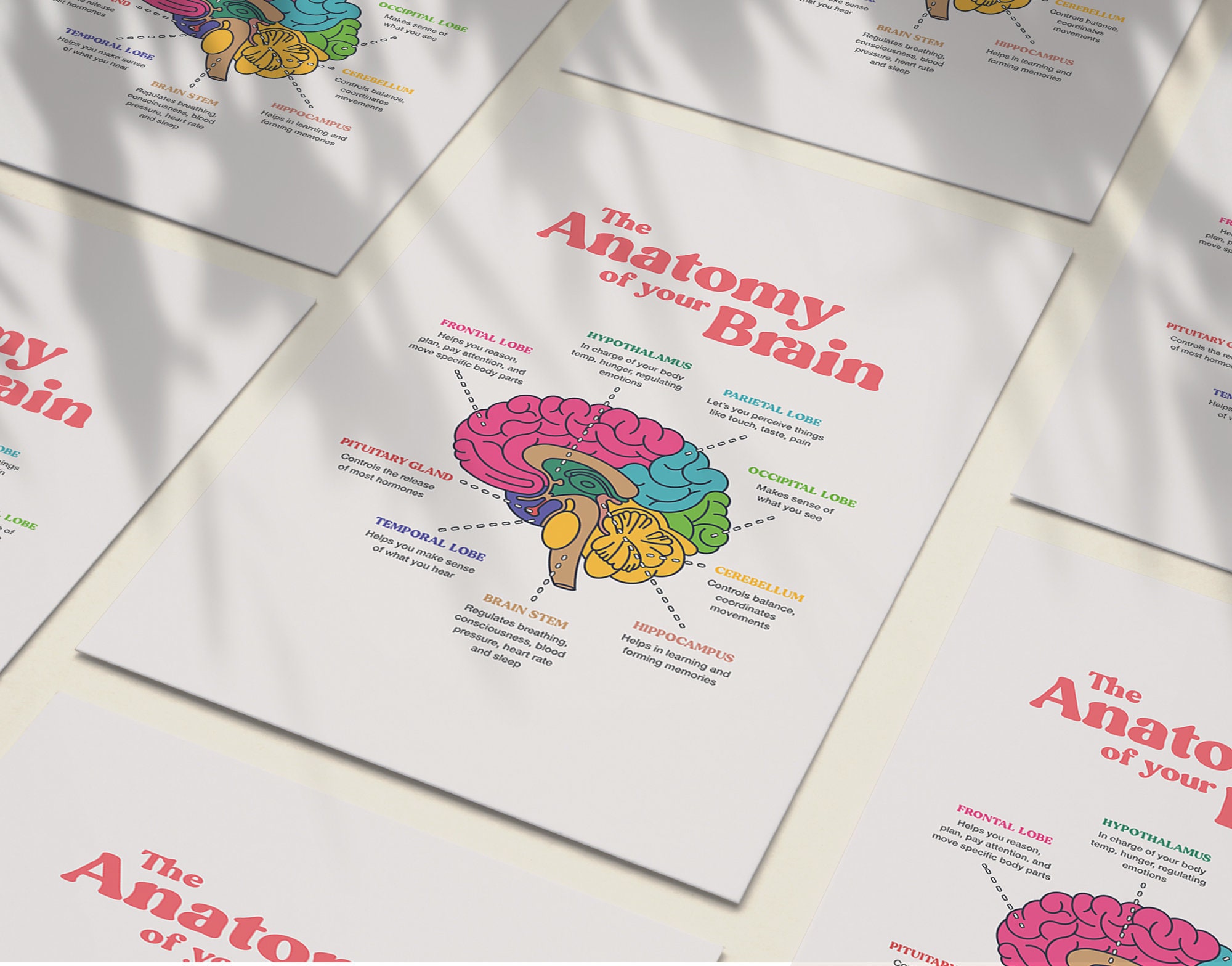 Brain Anatomy Poster Printable Art Therapy Office Decor - Etsy Australia