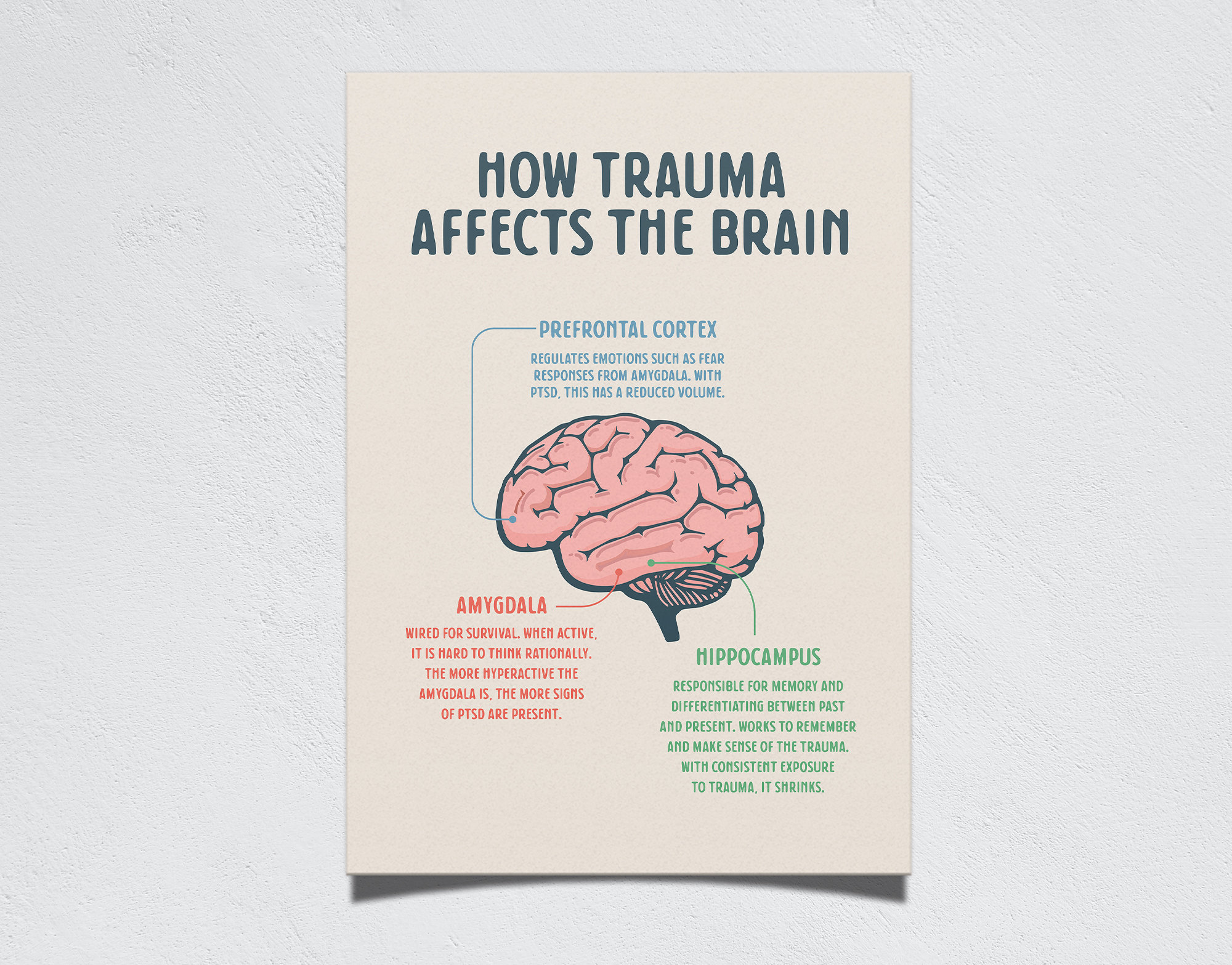 How Trauma Affects the Brain Printable Poster Therapy Office | Etsy Canada