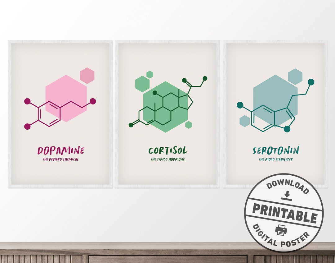 Dopamine, Cortisol, Serotonin, Brain Chemicals, Stress Hormone, Digital ...