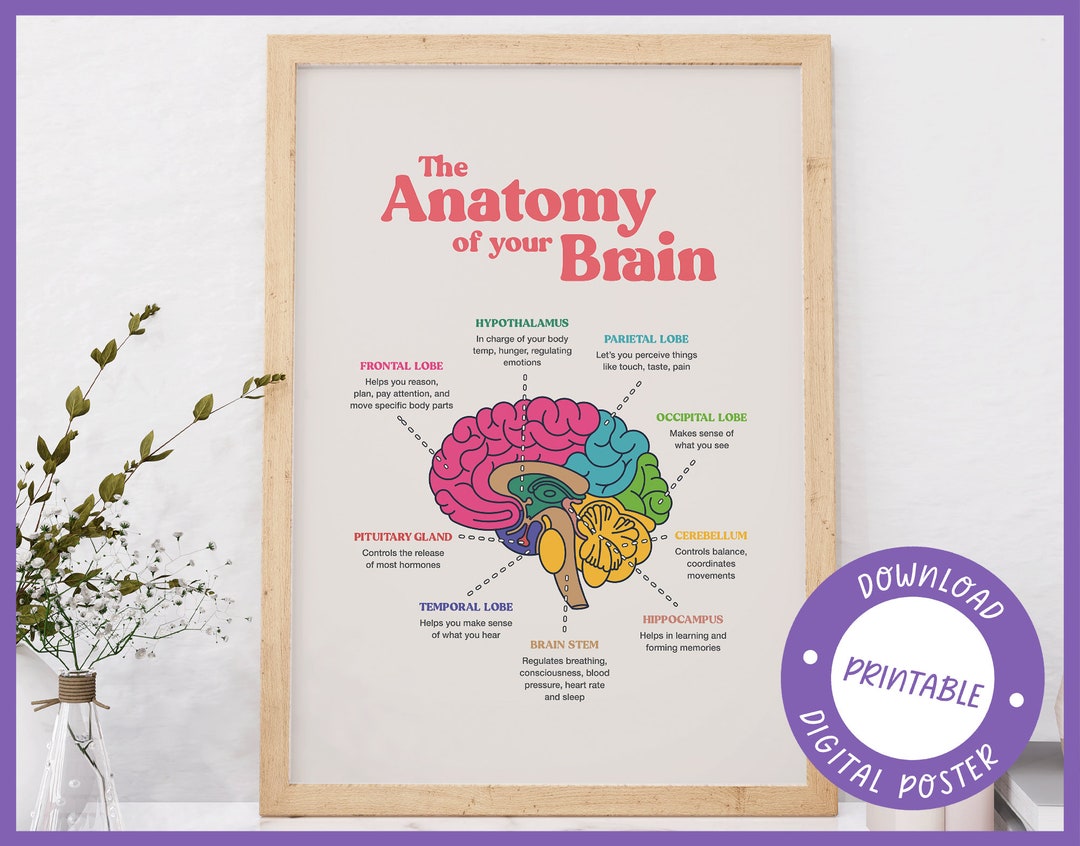Brain Anatomy Poster, Printable Art, Therapy Office Decor, Mental ...