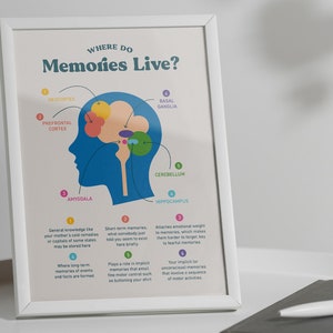 Where Do Memories Live, Printable Poster, Cognitive Neuroscience ...