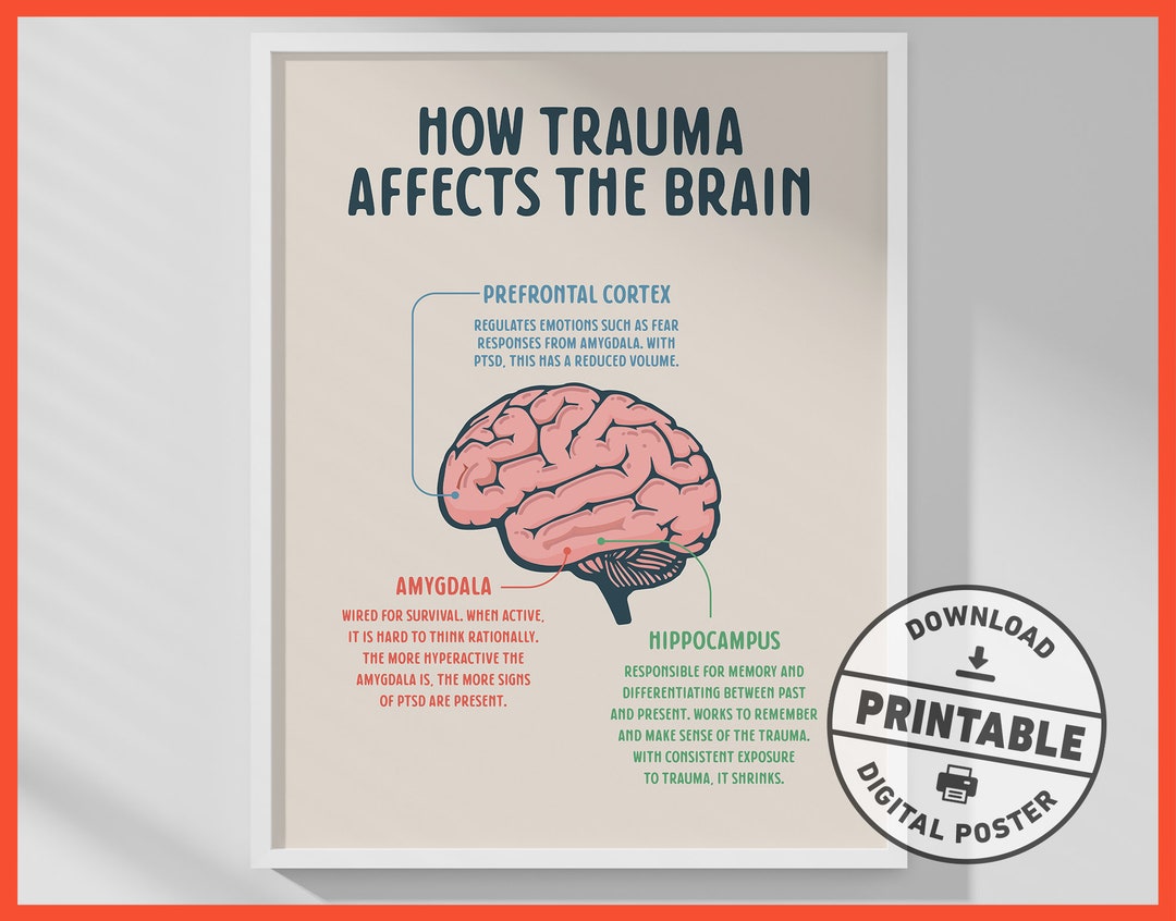 How Trauma Affects the Brain, Printable Poster, Therapy Office Decor ...