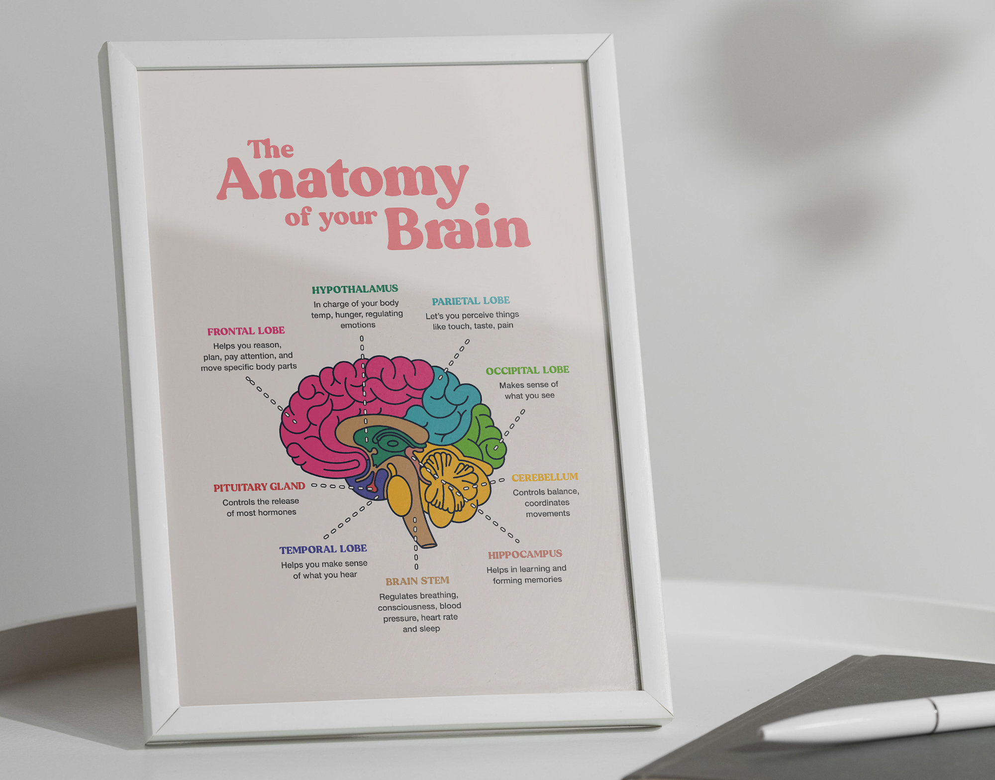 Brain Anatomy Poster, Printable Art, Therapy Office Decor, Mental ...