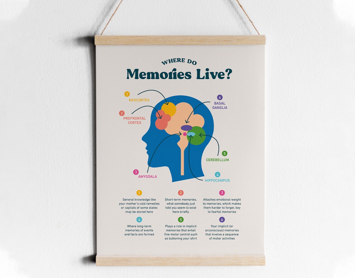 Where Do Memories Live Printable Poster Cognitive | Etsy