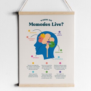 Where Do Memories Live, Printable Poster, Cognitive Neuroscience ...