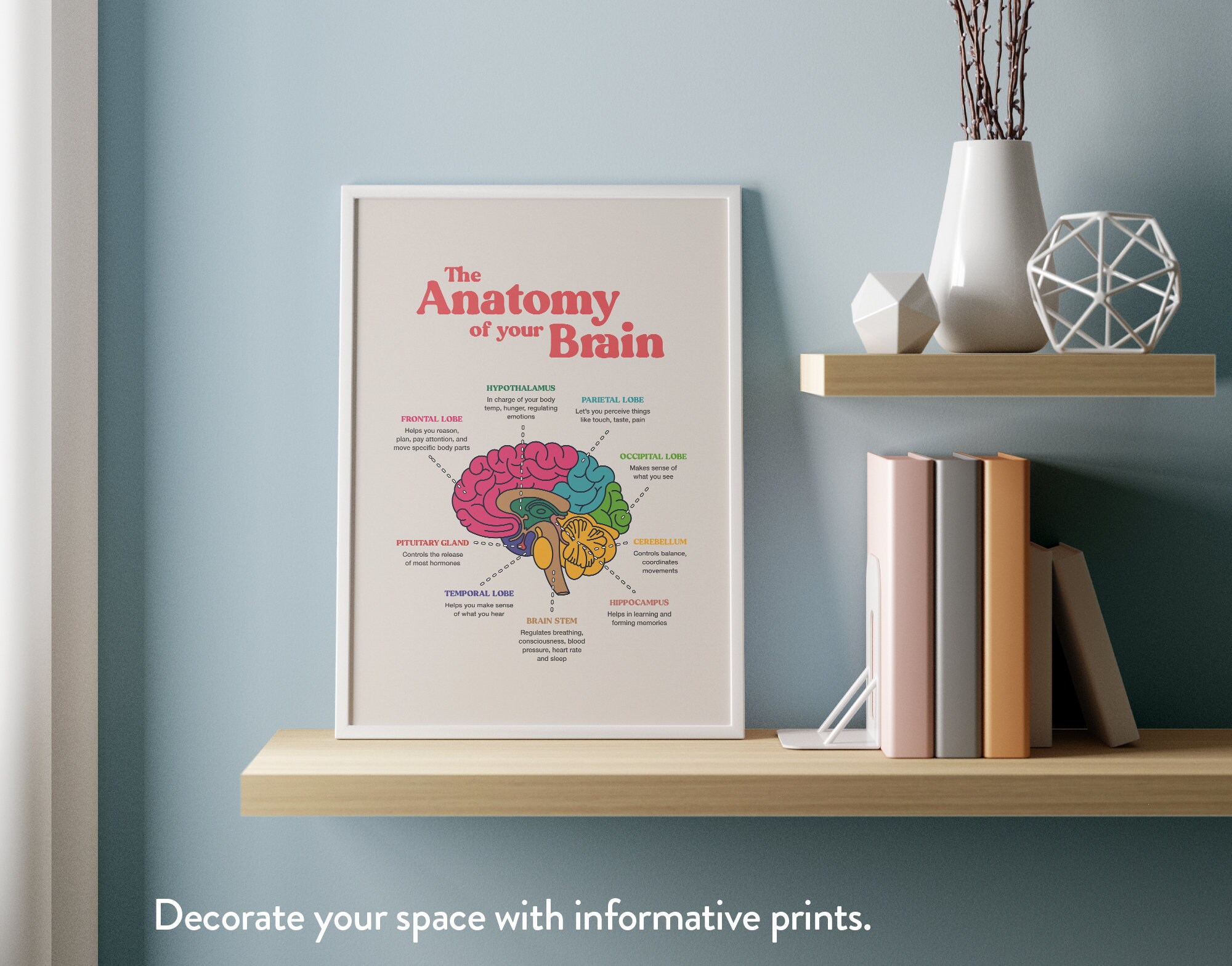Brain Anatomy Poster, Printable Art, Therapy Office Decor, Mental ...