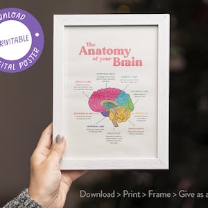 Brain Anatomy Poster, Printable Art, Therapy Office Decor, Mental ...