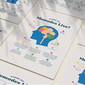 Where Do Memories Live, Printable Poster, Cognitive Neuroscience ...