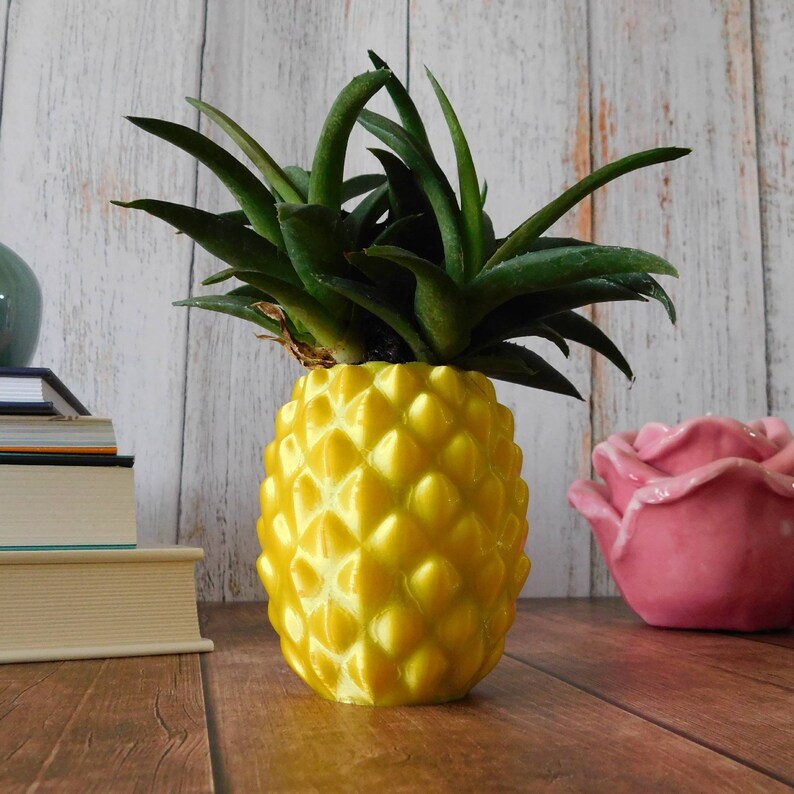The Pineapple Planter | Ananas Flower Pot - Etsy
