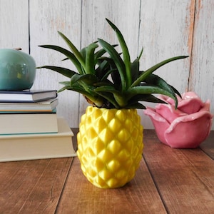The Pineapple Planter | Ananas Flower Pot - Etsy