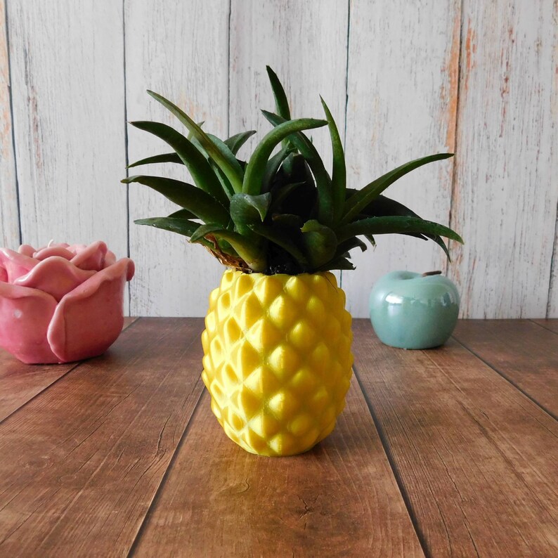 The Pineapple Planter | Ananas Flower Pot - Etsy