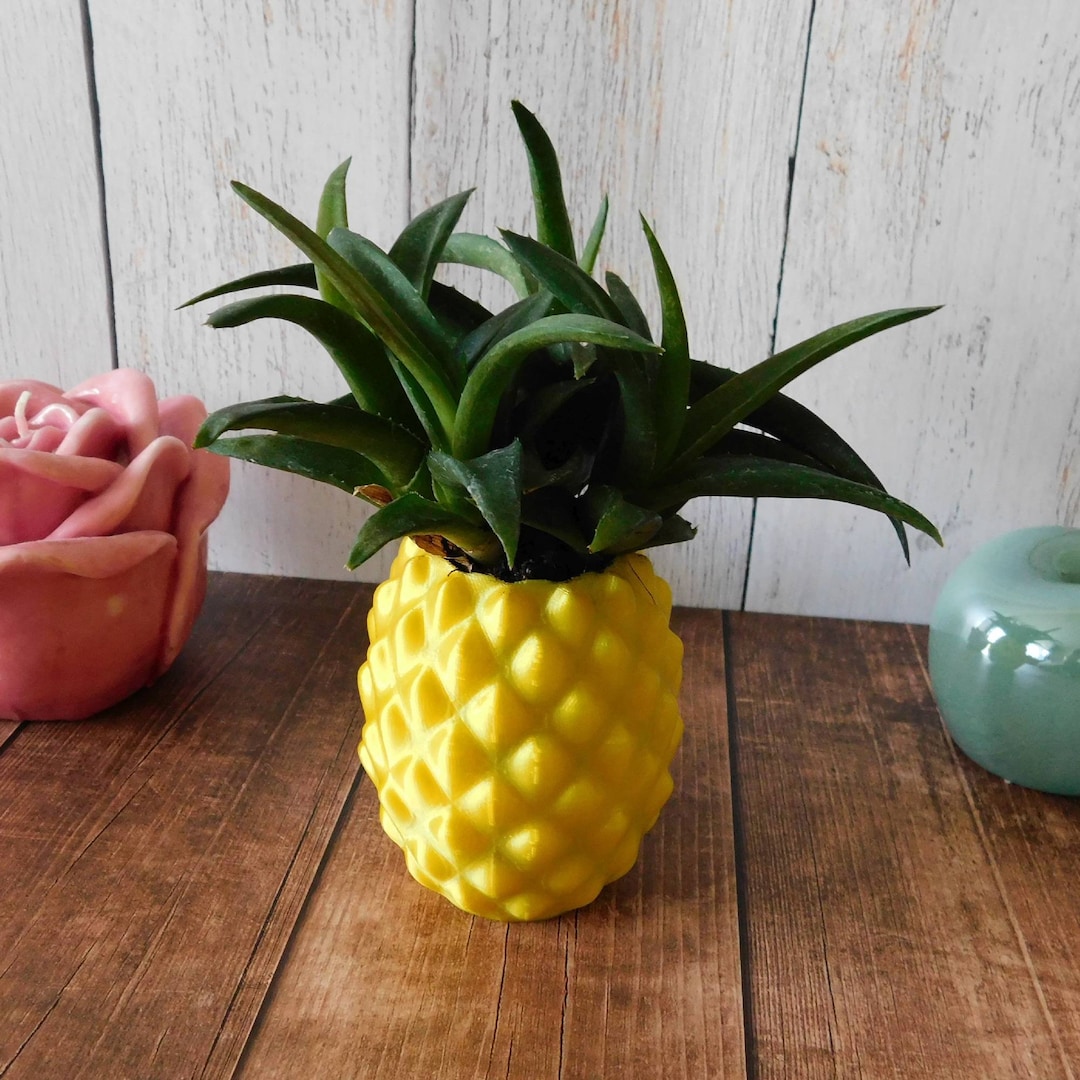 The Pineapple Planter | Ananas Flower Pot - Etsy