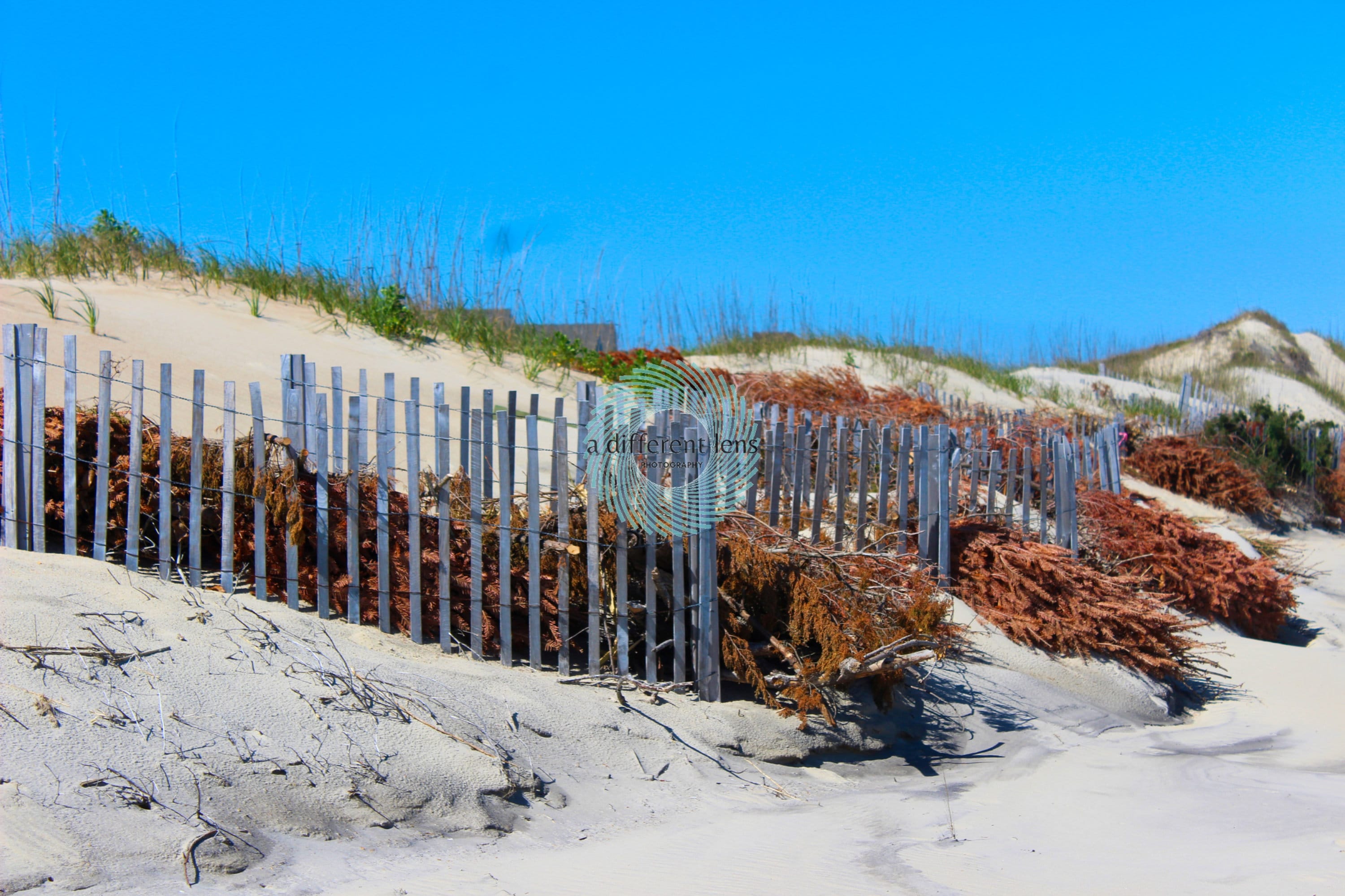 Outer Banks Photography, Christmas Tree Dunes - Etsy UK
