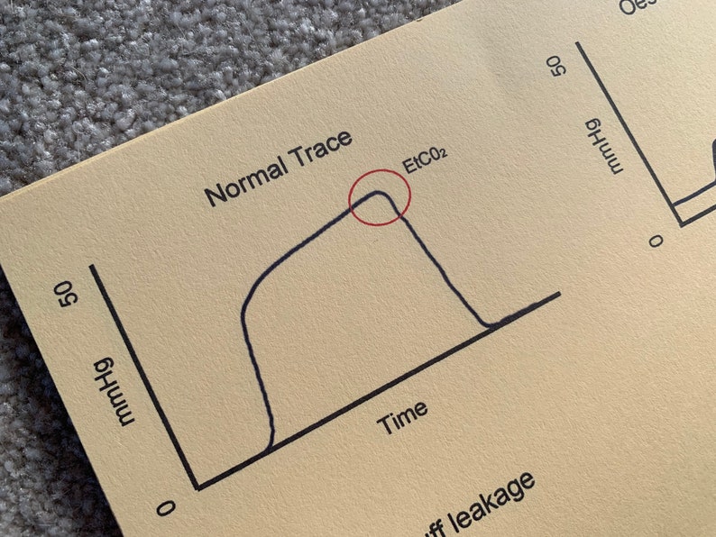 Veterinary Capnography Guides - Etsy
