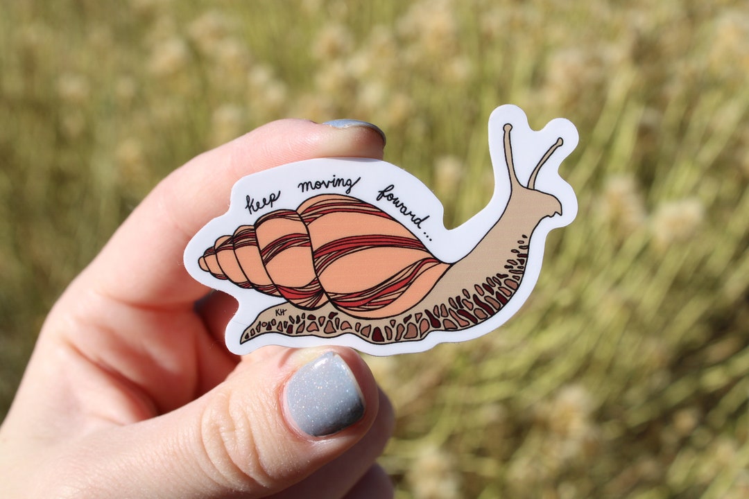 Keep Moving Forward Snail Sticker - Etsy