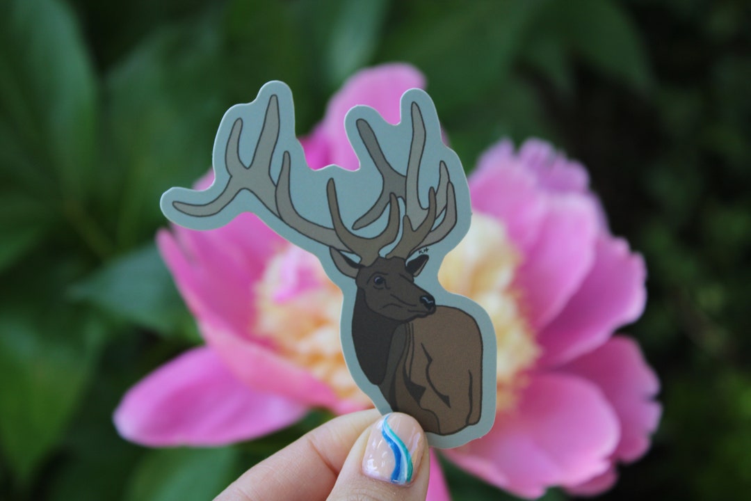Bull Elk Sticker - Etsy